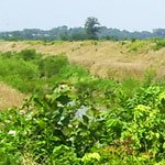 Excess Property Sales